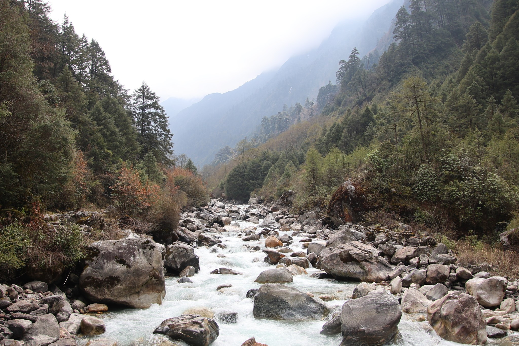 Kangchenjunga north base camp – Ghunsa – Break shackles